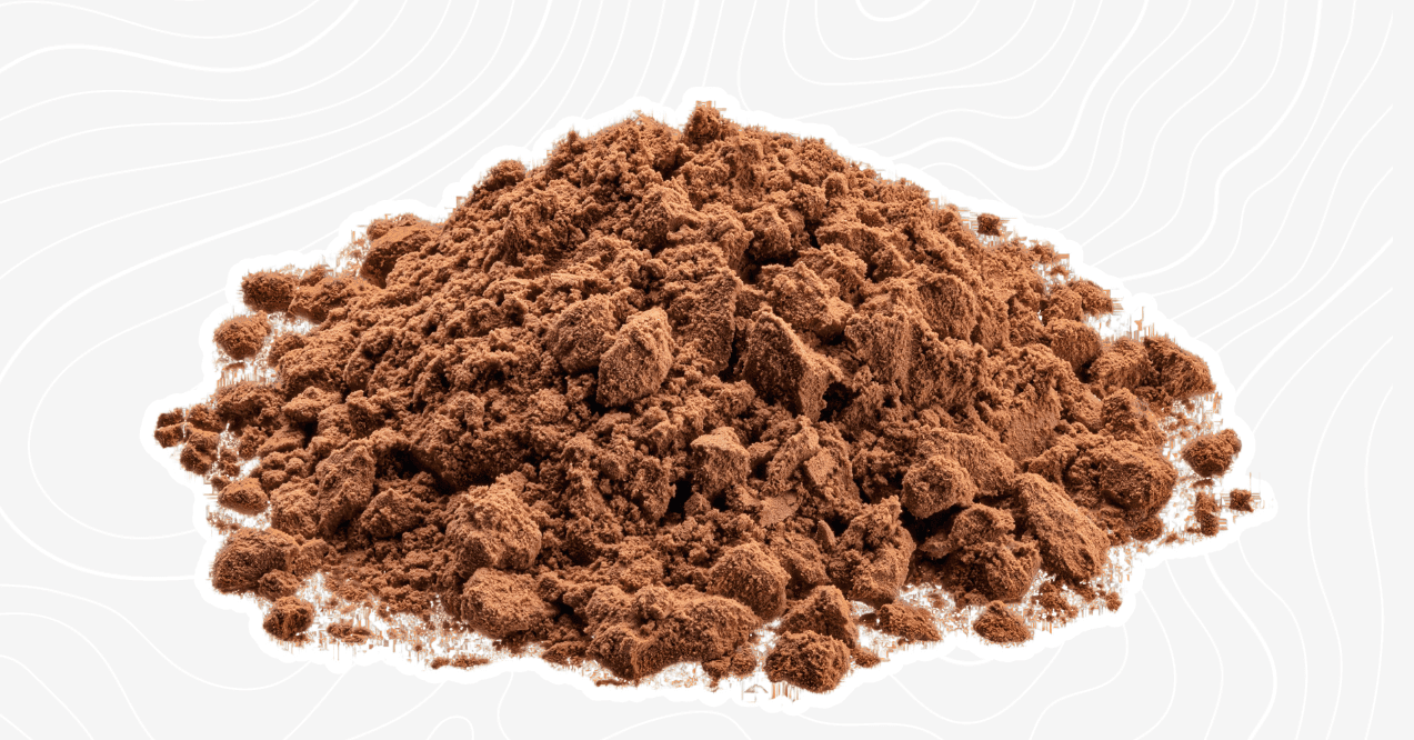 How to Make Mushroom Powder? Step-By-Step Guide | Trumeta