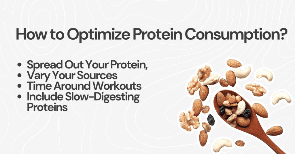 How Long Does Protein Stay in Your System? | Trumeta