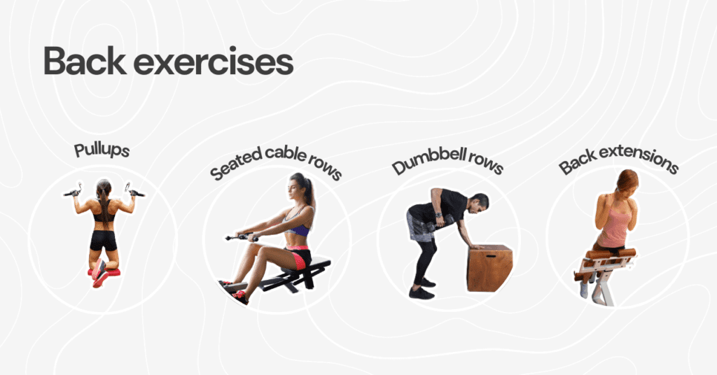 Back and Tricep Workout Routine | Trumeta